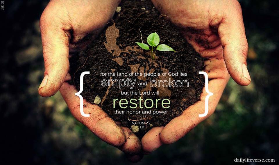 From Revival to Restoration – Rooted Leaders